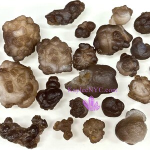 Wholesale Lot 2 Lbs Natural Panda Agate Crystal Healing Energy - Etsy