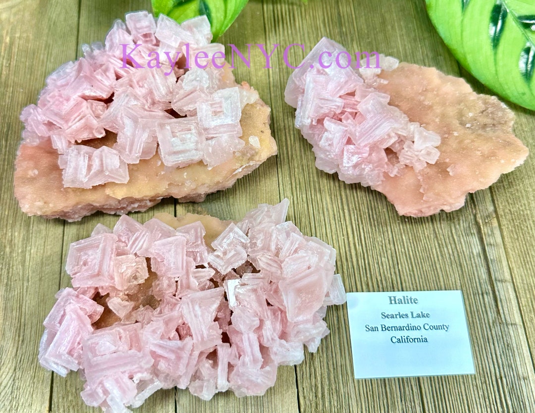Wholesale Lot 3 Pcs Natural Pink Halite Specimen Raw - Etsy