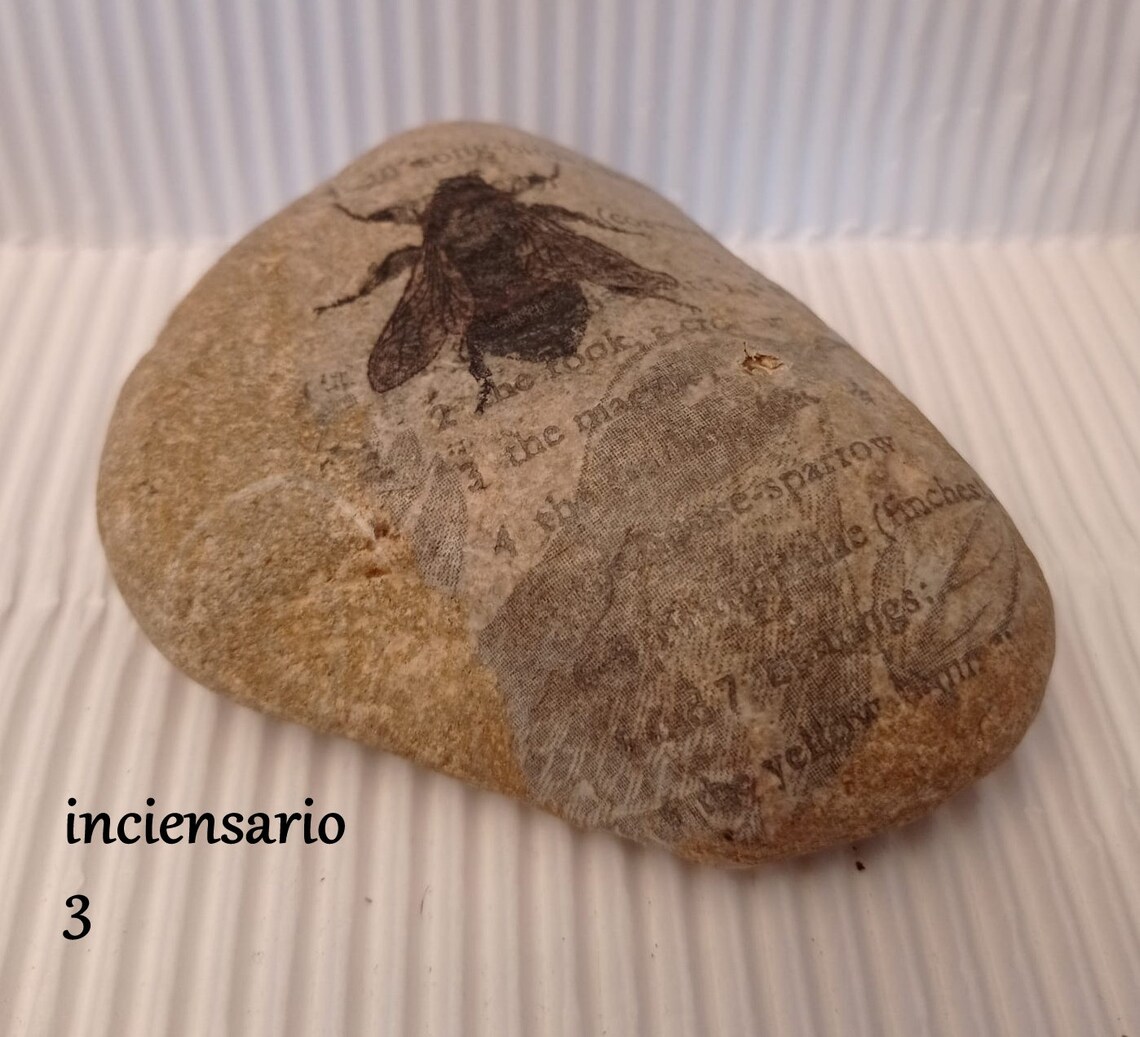 INSECT PAPERWEIGHT Decoupage Stone 3 Versions Paperweights - Etsy