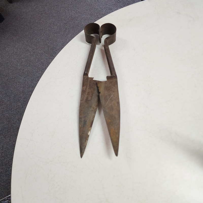 Sheep Shearing - Etsy