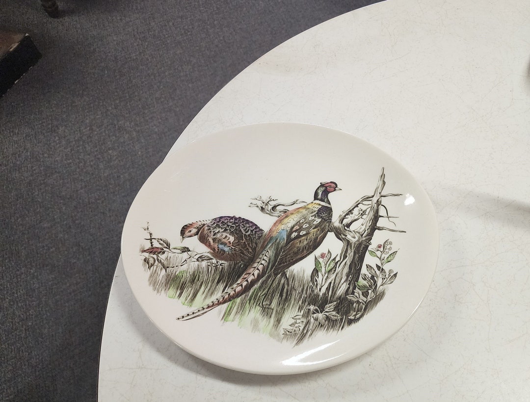 Vintage Oval Game Plates Pheasant Johnson Brothers - Etsy