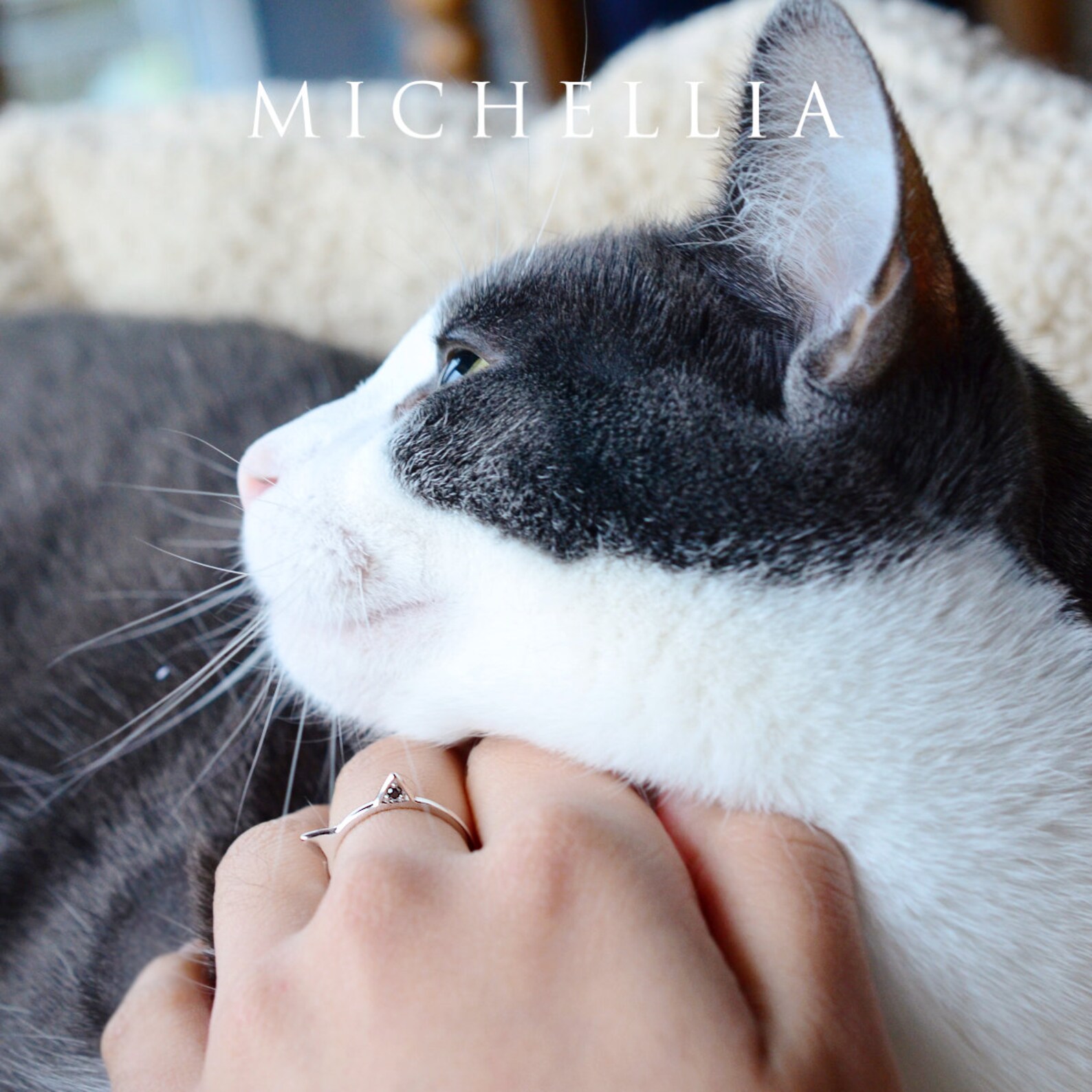 Diamond Cat Ear Ring Pet Gift for Cat Mom Cat Lady Cat | Etsy