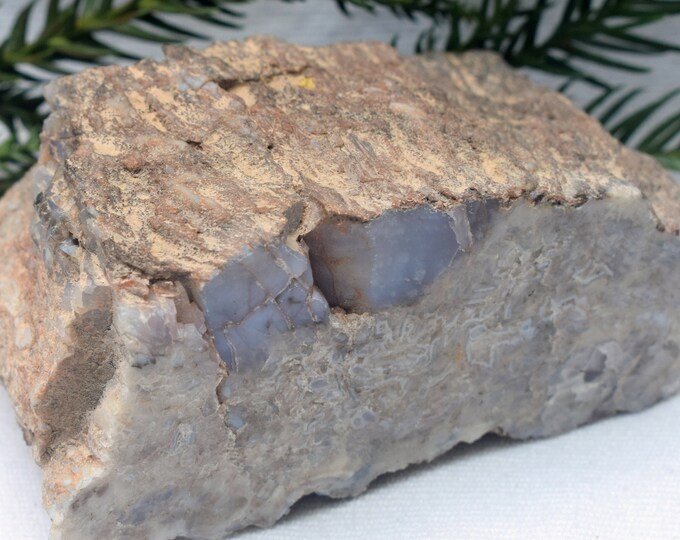 Rare Blue Quartz Petrified Wood From Utah. Agatized Wood, Polished ...