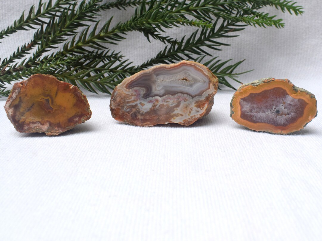 Kentucky Agate Mini Collection. Banded Agate Rocks and - Etsy