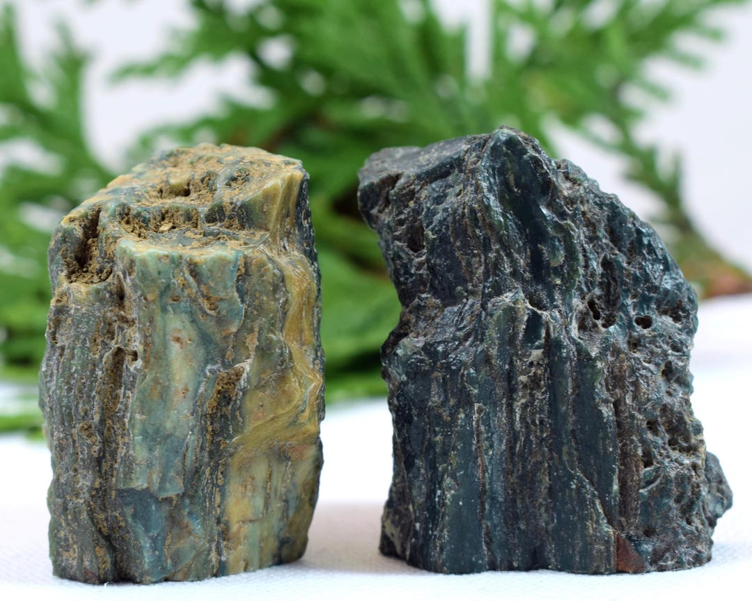 Pair of Green Petrified Wood Limb Casts From Hampton Butt: Reiki Palm ...