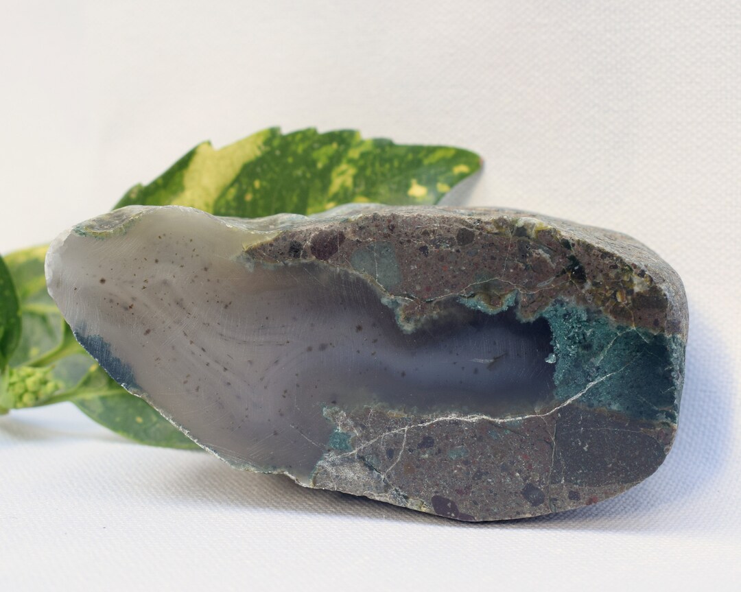 Large Blue Green Agate Limb Cast From WY. Petrified Wood - Etsy