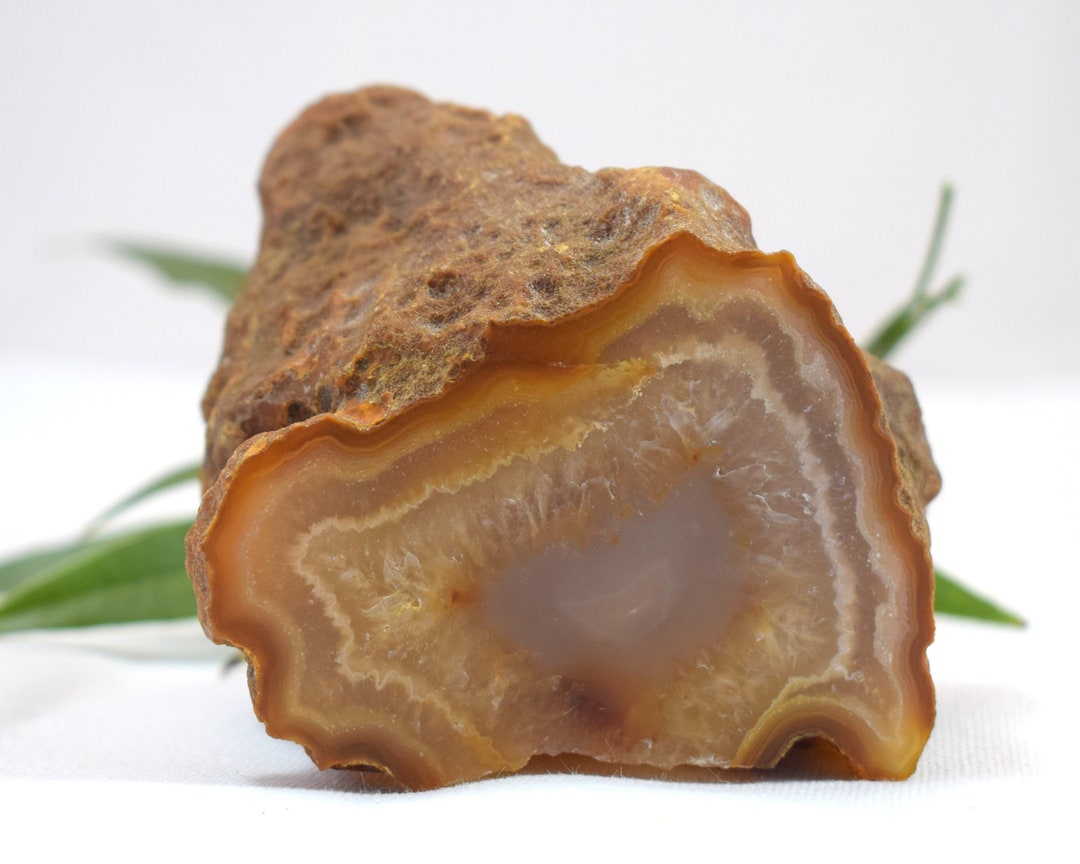 Large Carnelian Nodule From Washington. Carnelian Stone - Etsy
