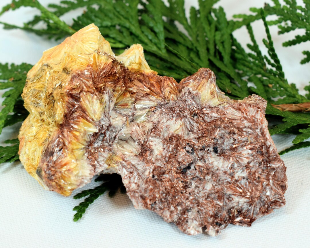 Pyrophyllite Starburst Crystals From NC. Rocks and Minerals, Natural ...