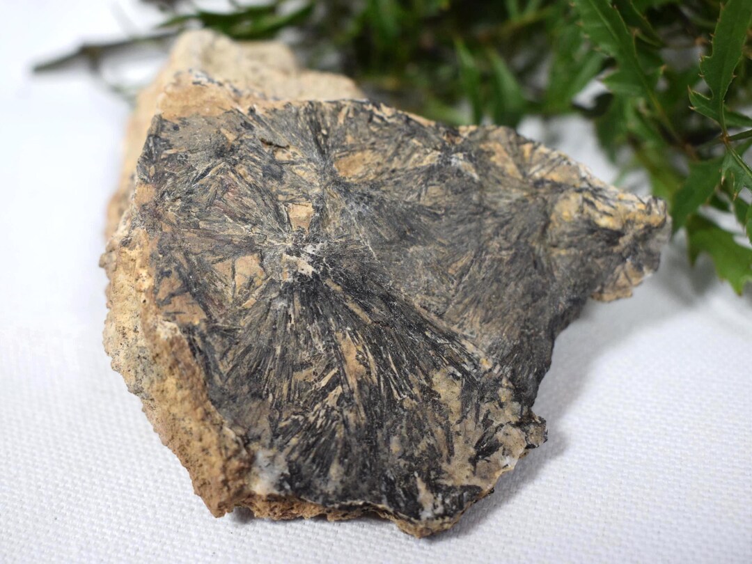 Rare Ludwigite Crystal Specimen From Utah: Stone of Inner Peace and ...