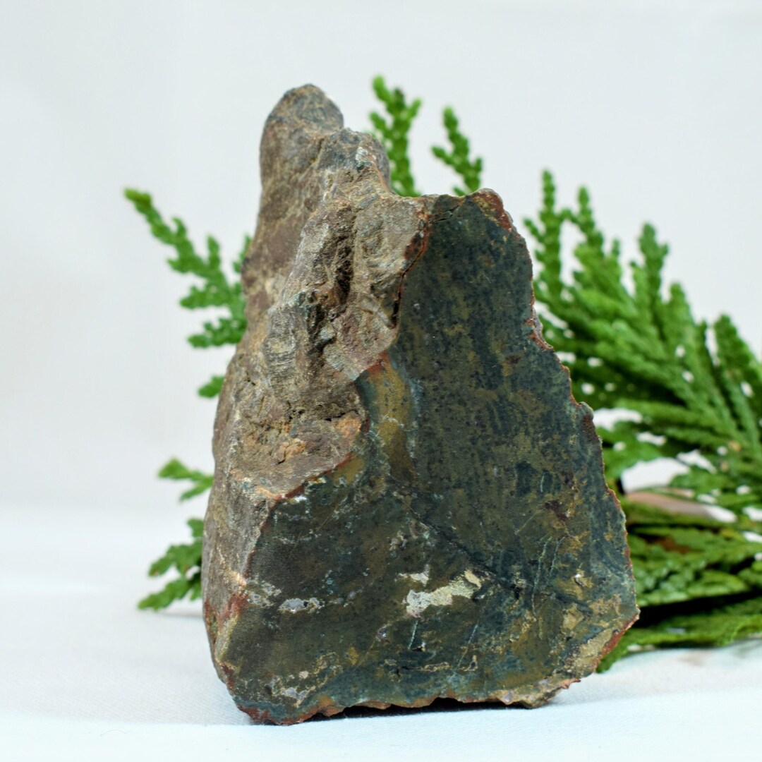 Green Hampton Butte Petrified Wood From Oregon. Fossil Wood, Polished ...