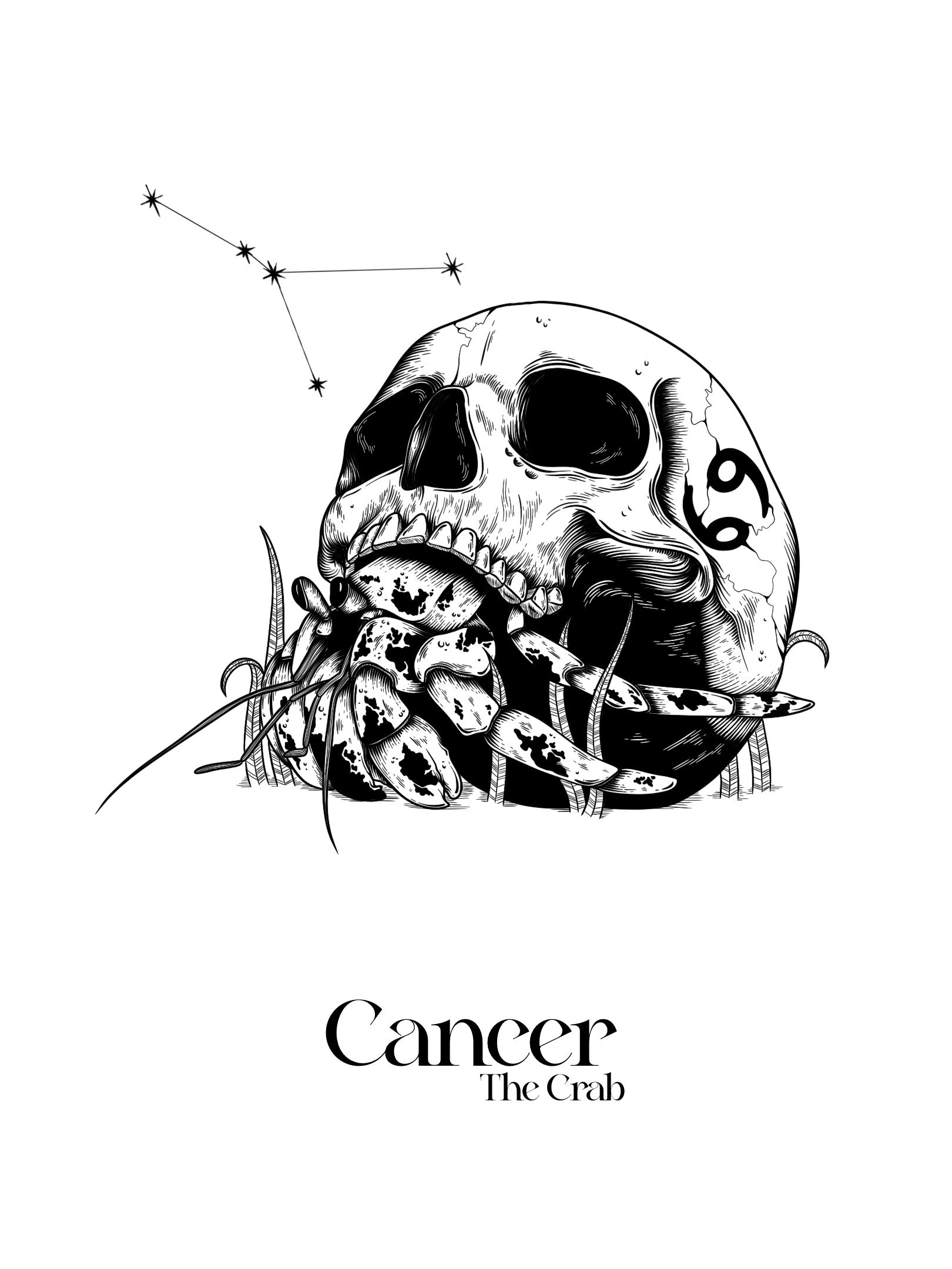 Cancer the Crab Zodiac Sign Giclee Print, Original Drawing, Astrology ...