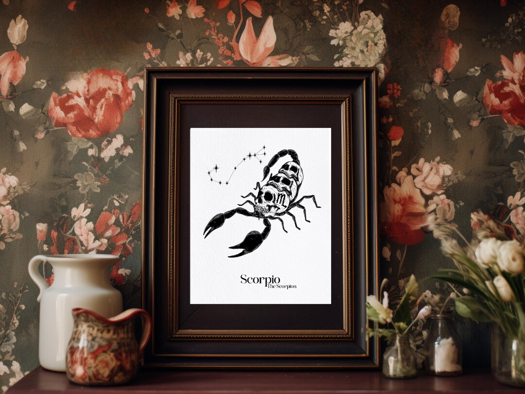 Scorpio the Scorpion Zodiac Sign Giclee Print, Original Drawing ...