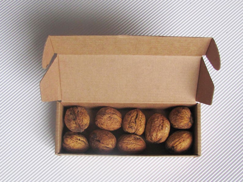 2.5x6.5x1.5 Blank Boxes Set of 18 Cardboard - Etsy