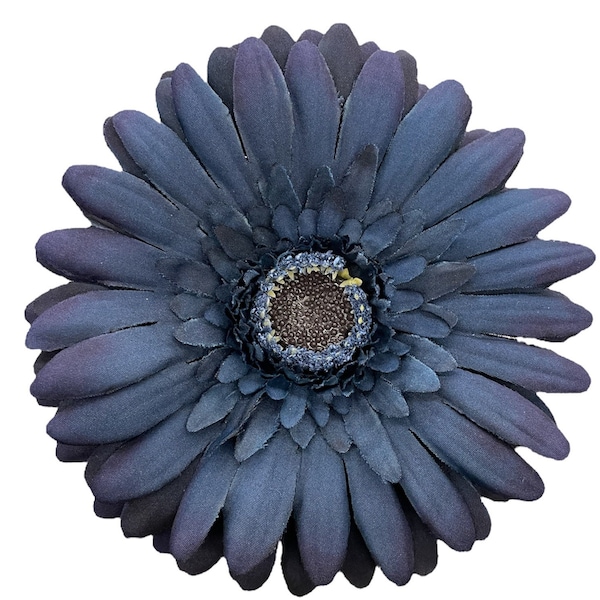 Blue Gerbera Daisy - Etsy
