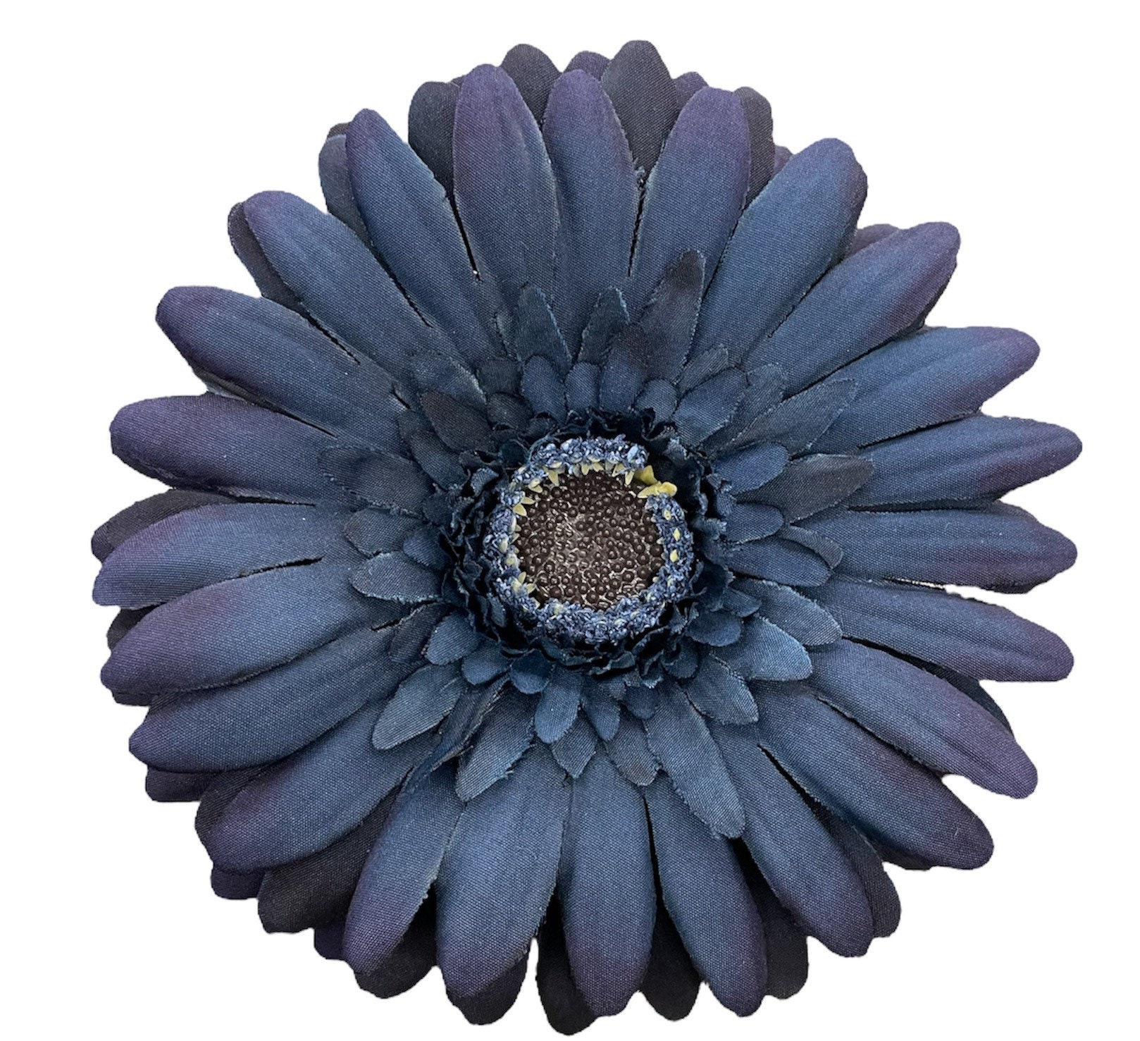 Blue Gerber Daisy