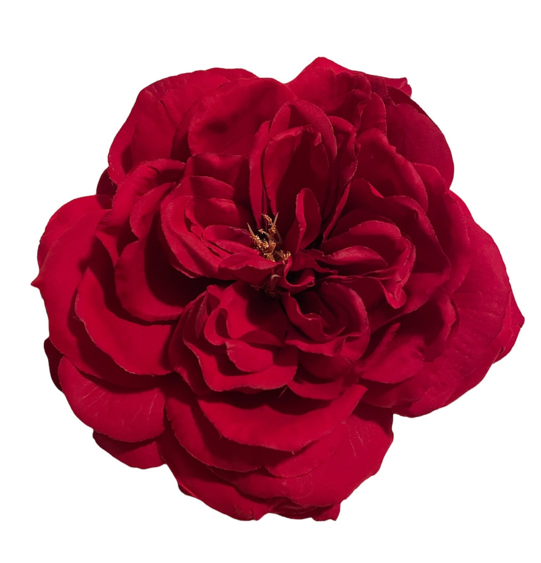 Luxe Red Open Rose Hair Flower Clip and or Brooch Pin - Etsy