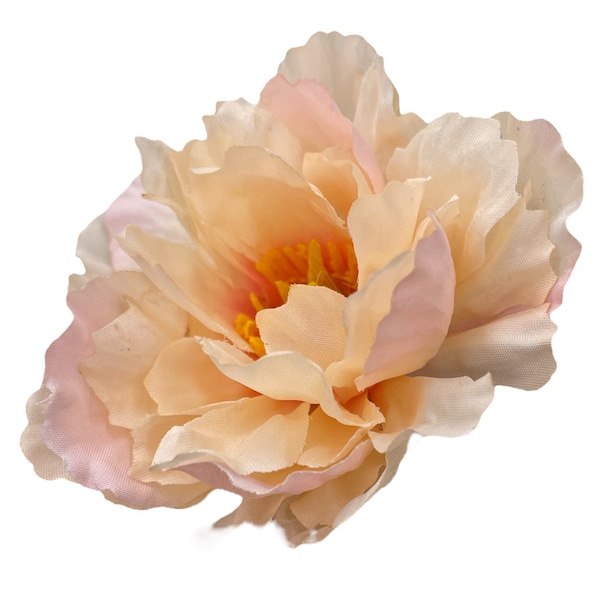 Peach Peony - Etsy