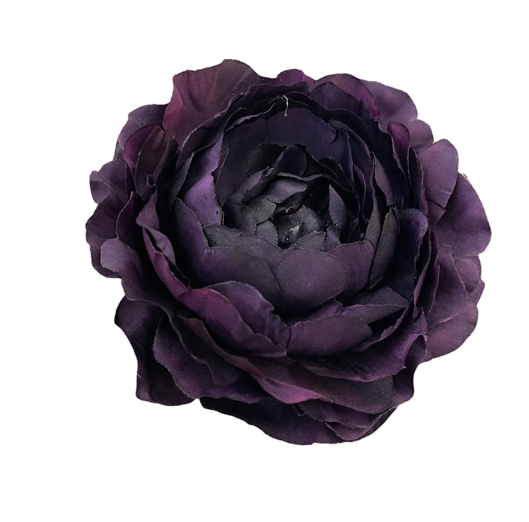Dark Purple Ranunculus
