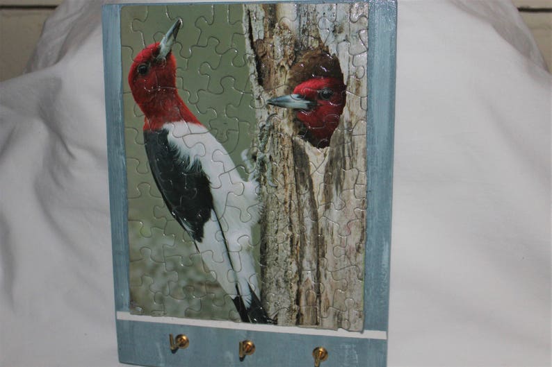 Woodpecker Wall Plaque Key Holder - Etsy