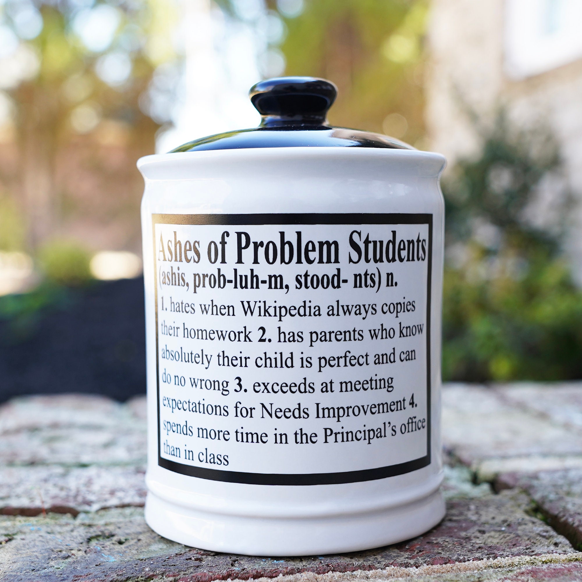 Cottage Creek Ashes of Problem Students Piggy Bank Candy Jar - Etsy
