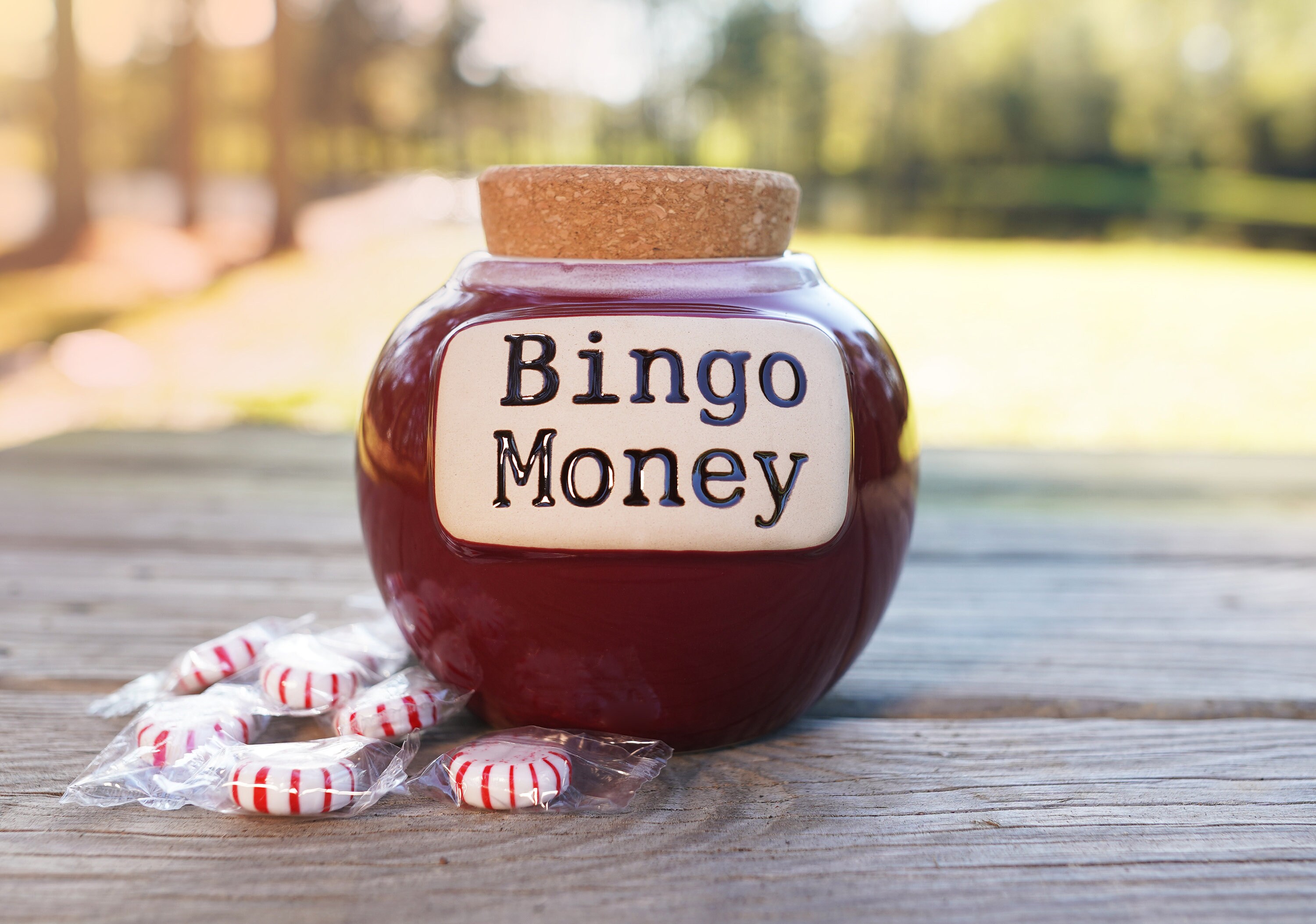 Bingo Money Bank Bingo Winnings Jar Bingo Lovers Gifts Bingo Etsy bingo-money-bank-bingo-winnings-jar-bingo-lovers-gifts-bingo-etsy