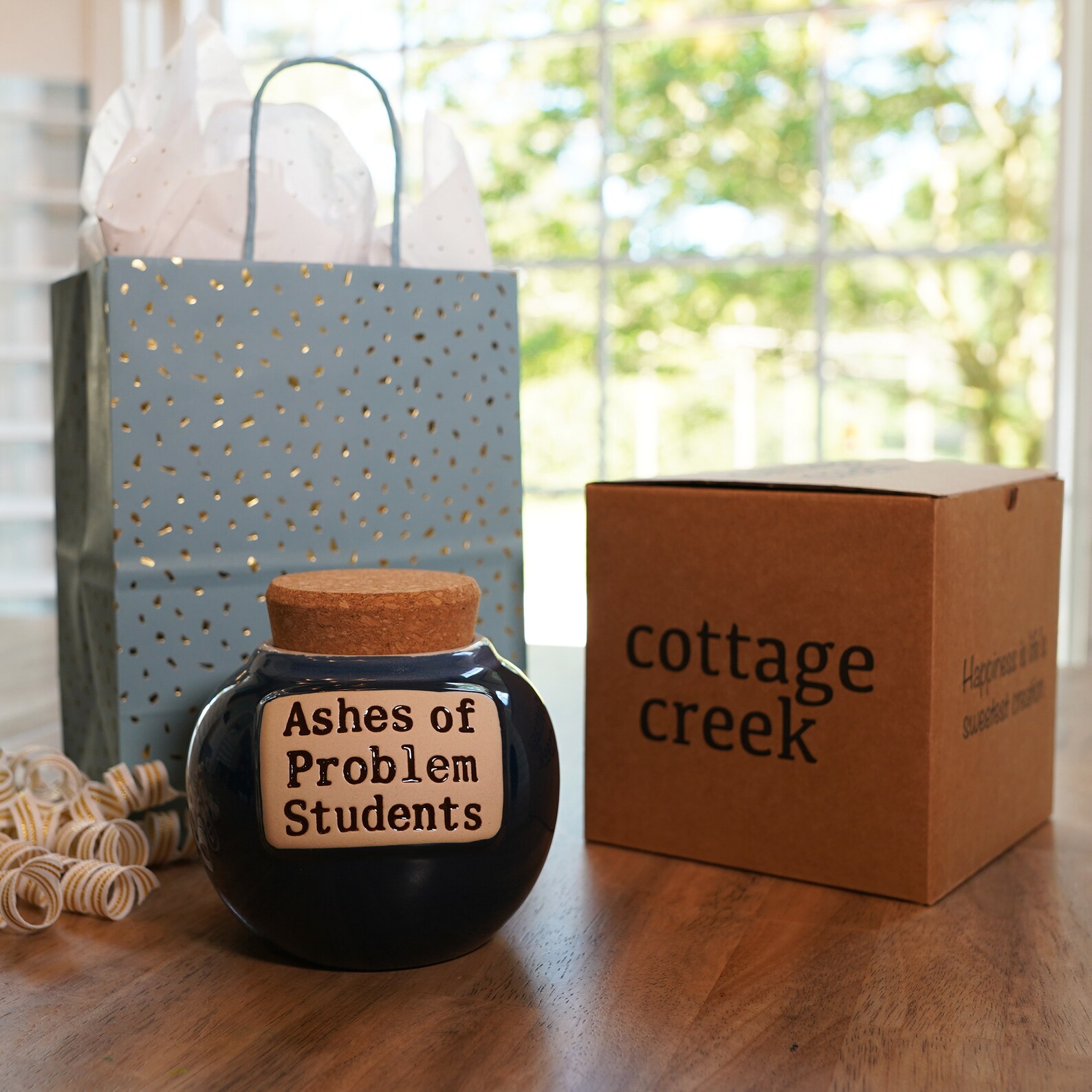 Teacher Gifts Ashes of Problem Students Ceramic Jar With Cork - Etsy