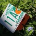 Florida sunshine State License Plate Birdhouse - Etsy