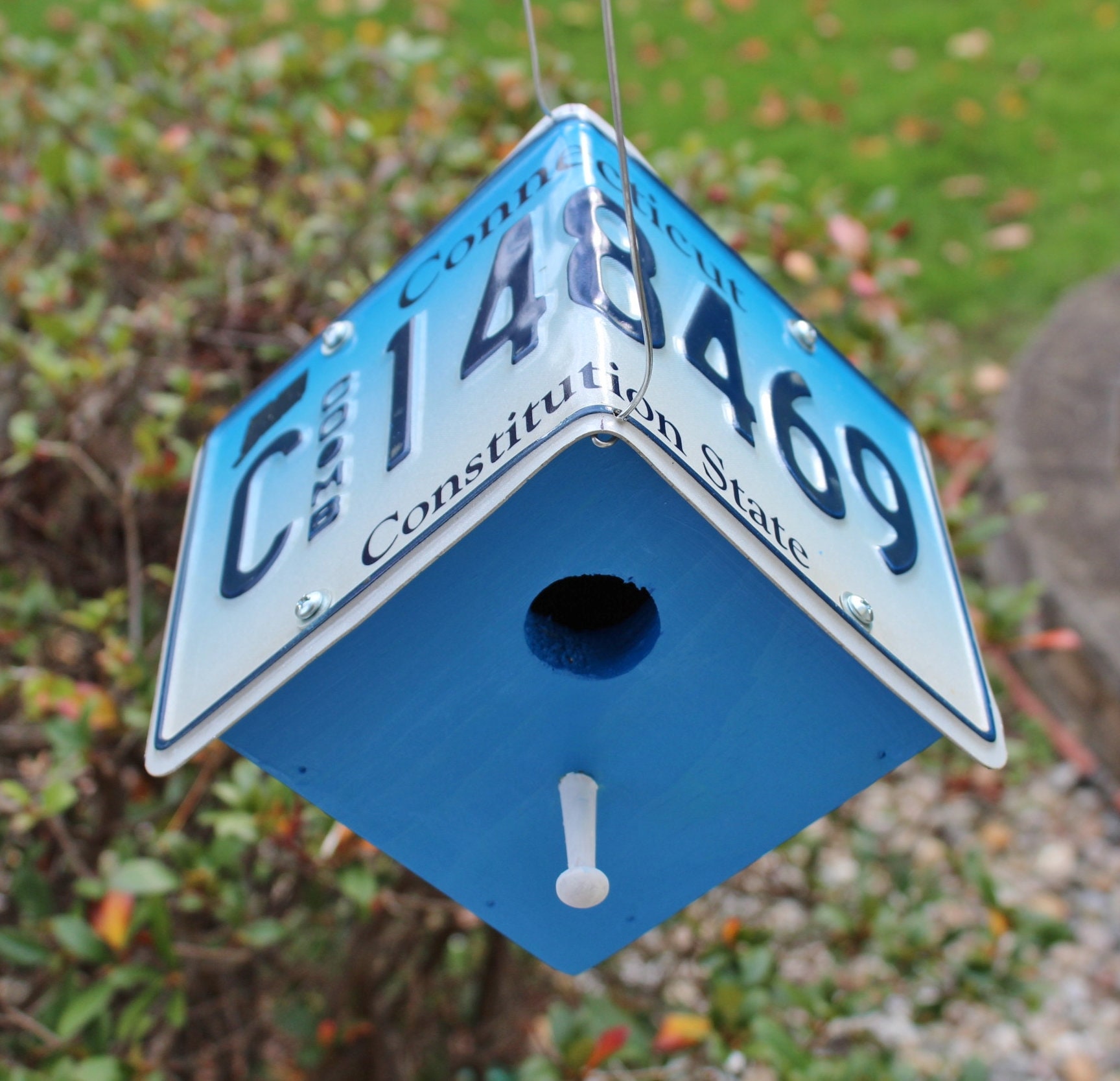 Connecticut constitution State License Plate - Etsy