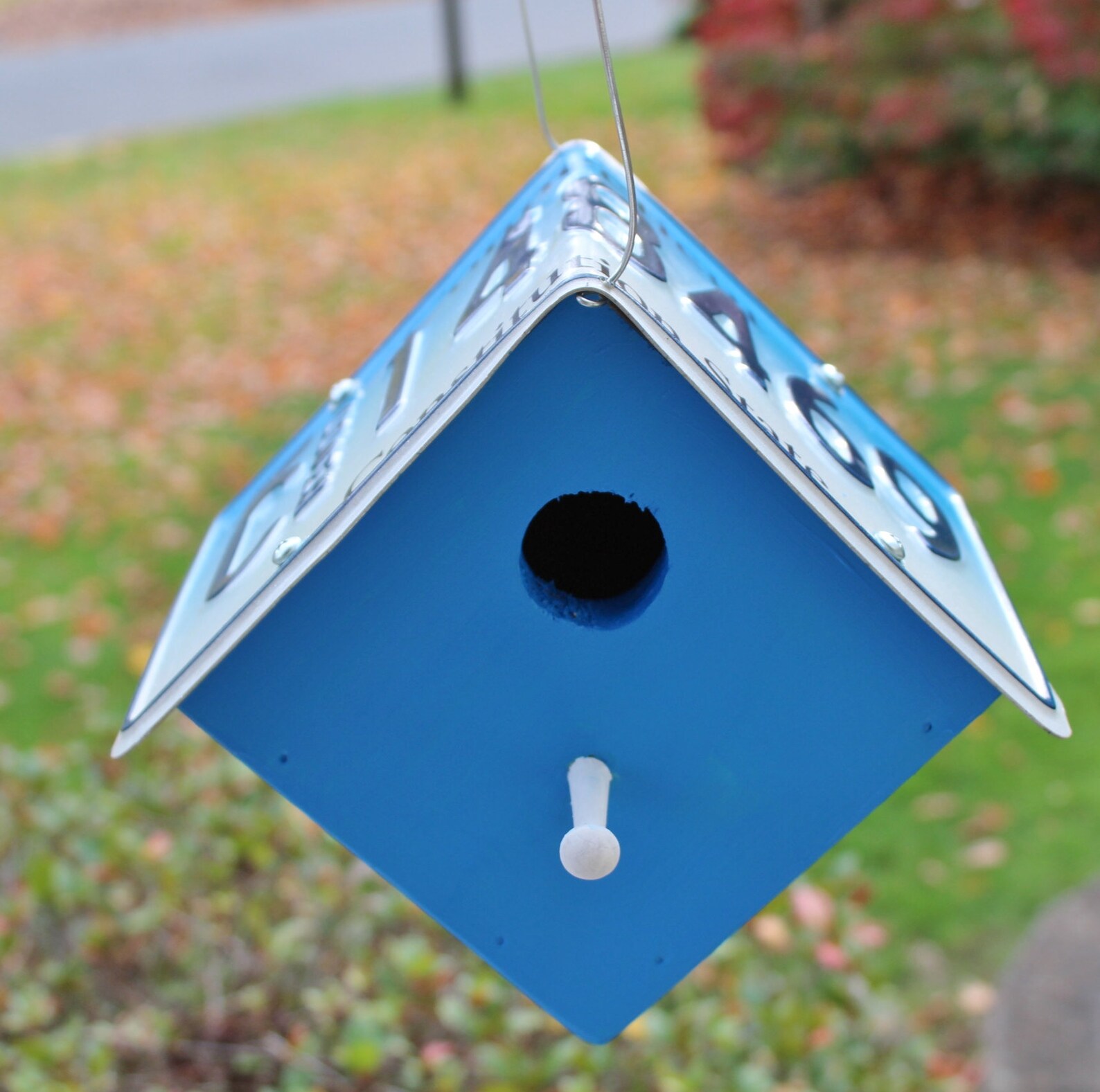 Connecticut constitution State License Plate - Etsy