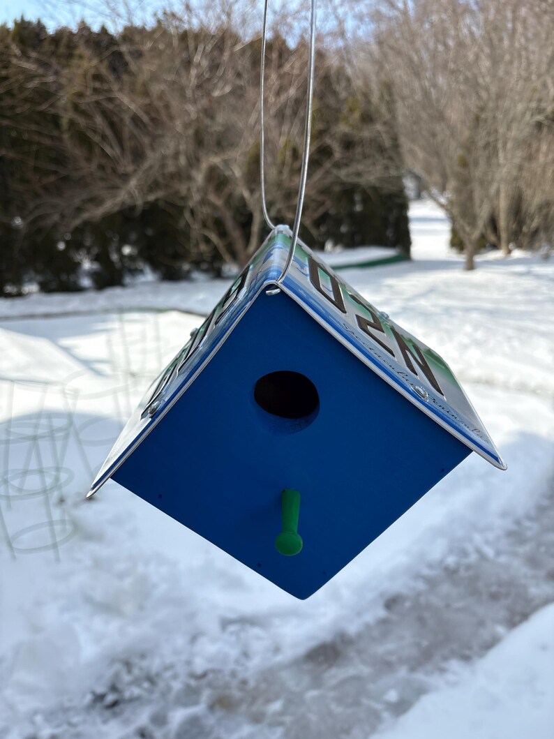 Michigan "spectacular Peninsulas" License Plate Birdhouse - Etsy