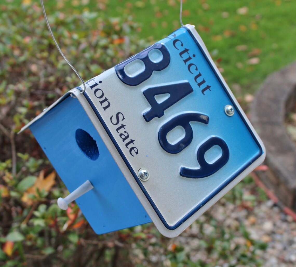 Connecticut constitution State License Plate - Etsy