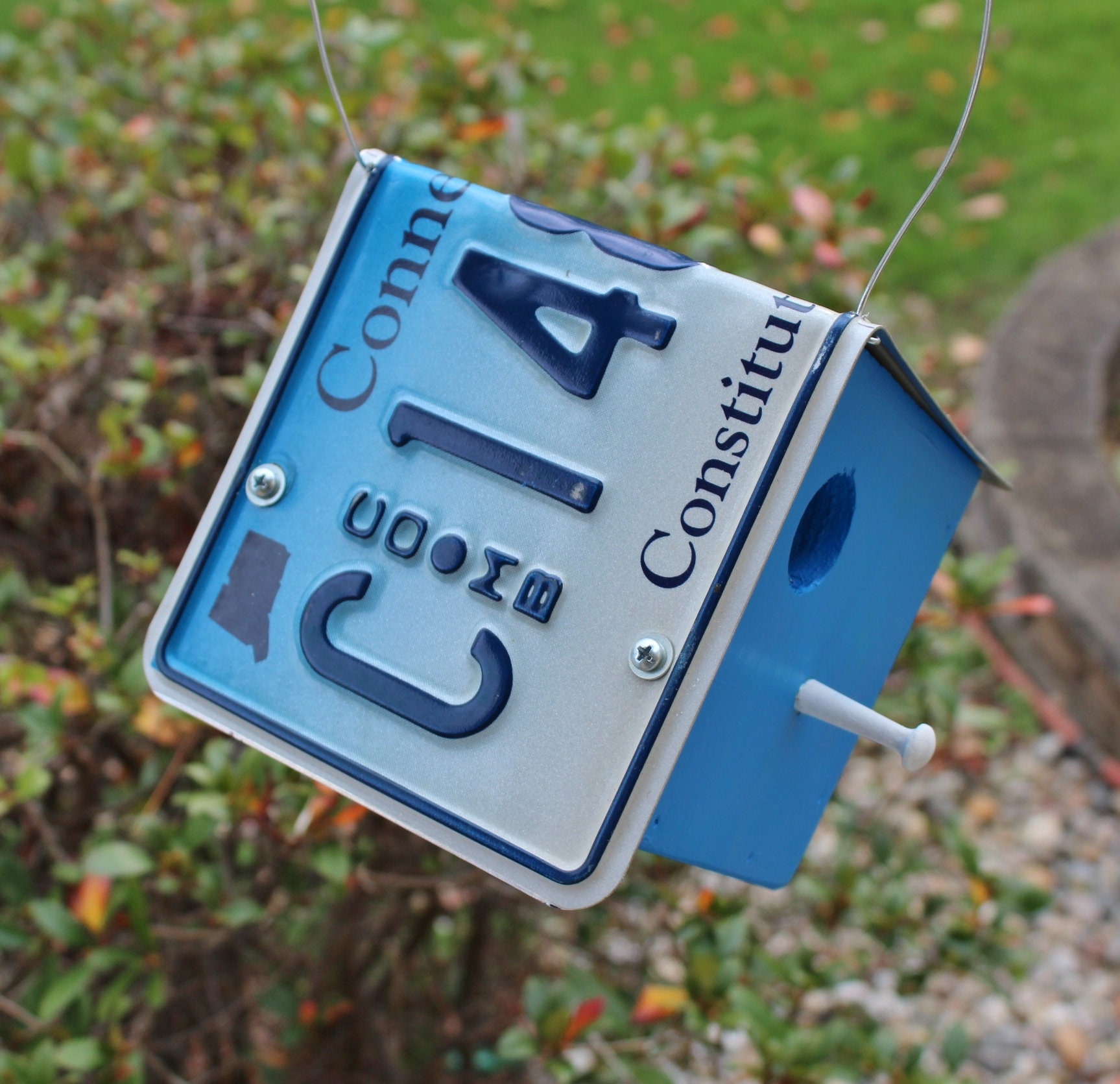 Connecticut constitution State License Plate - Etsy