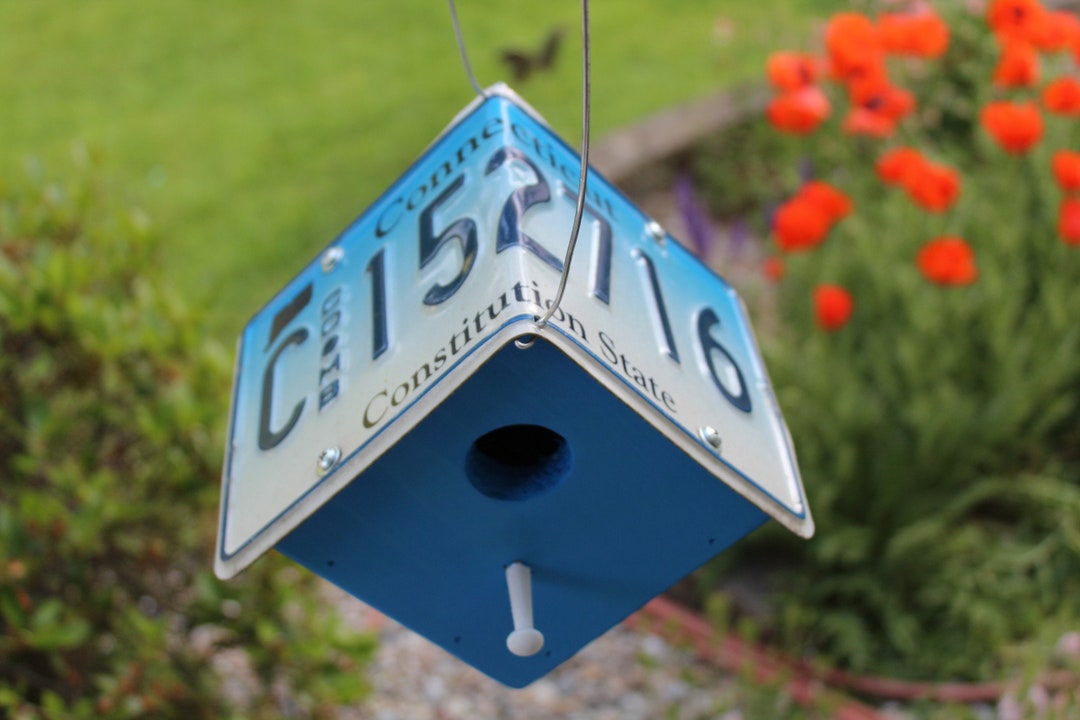 Connecticut constitution State License Plate - Etsy