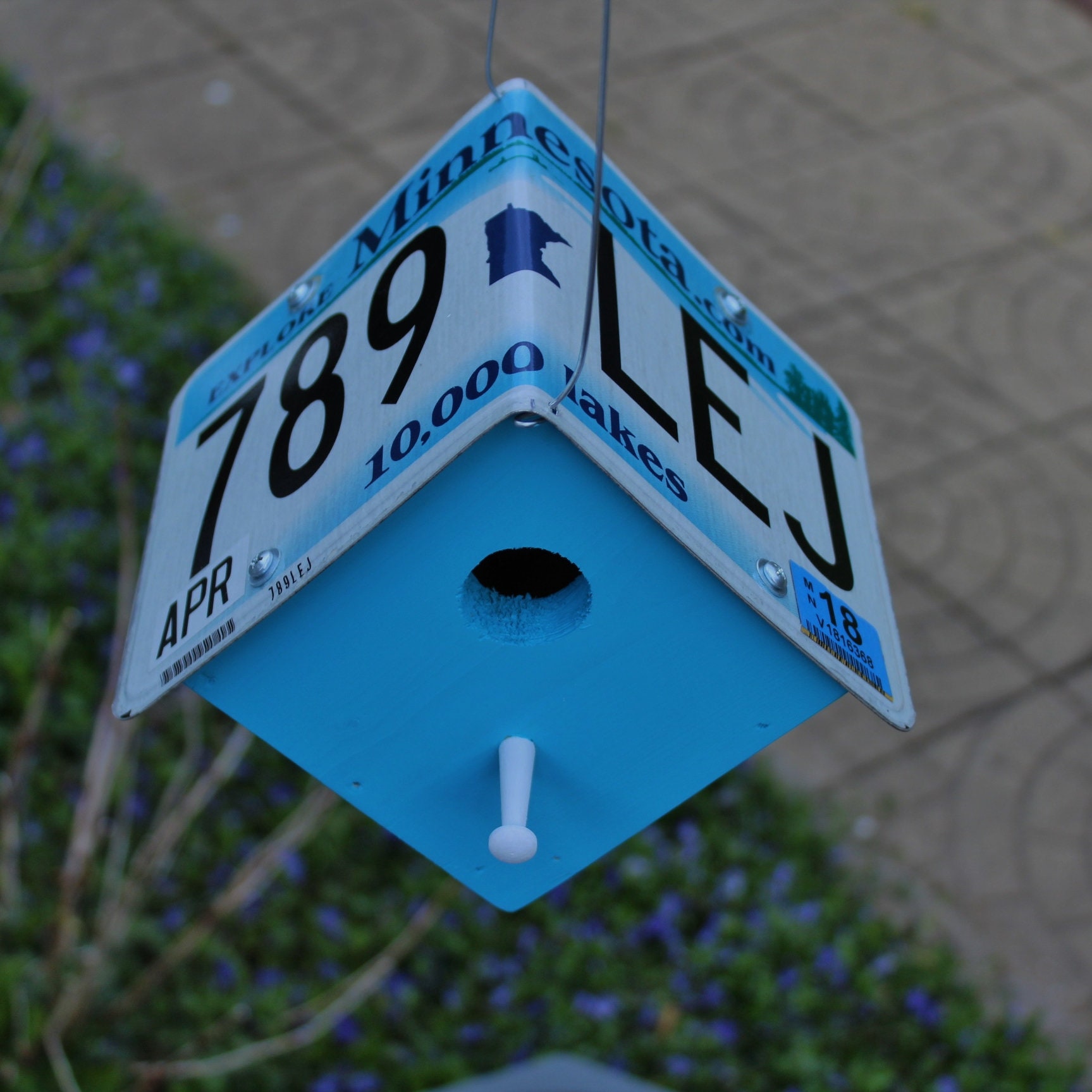 Minnesota 10000 Lakes License Plate Birdhouse | Etsy