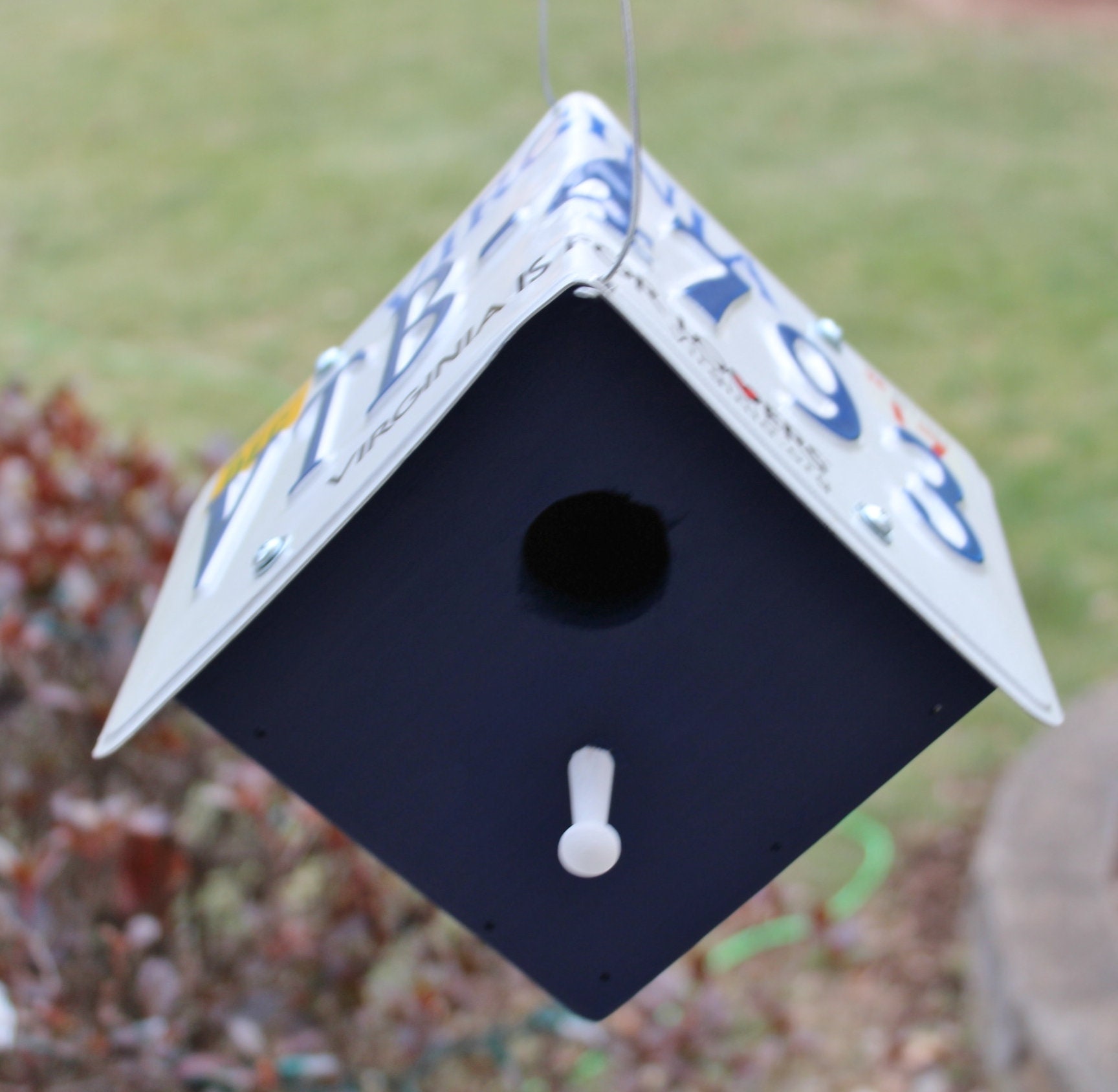 Virginia virginia is for Lovers License Plate | Etsy New Zealand