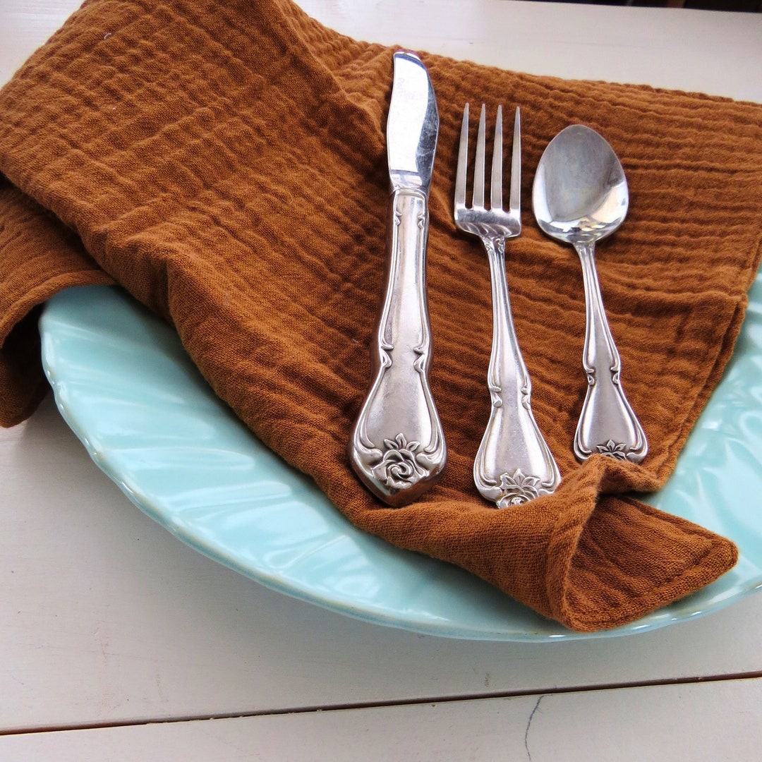 Rust Brown Cloth Everyday Napkin Set of 2 Reusable Washable Kitchen ...