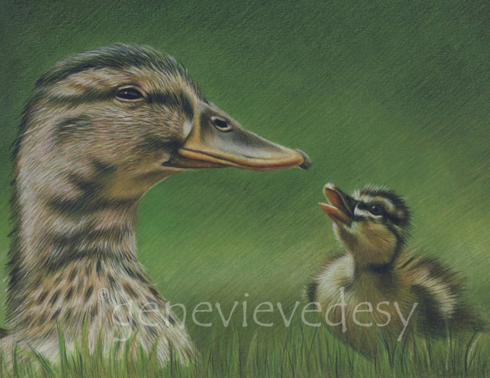 Original Drawing of Ducks Mother and Baby Duck Drawing Duck Drawing ...