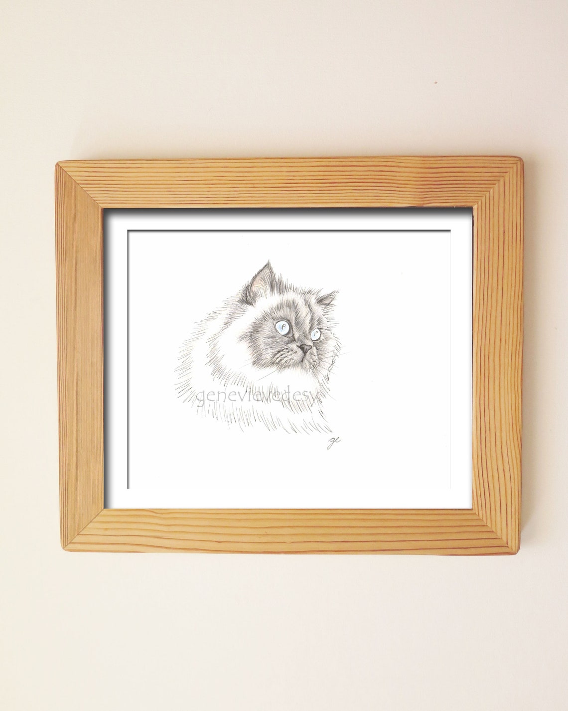 Himalayan Cat Ink Drawing - Original Cat Drawing Made With Ink and ...