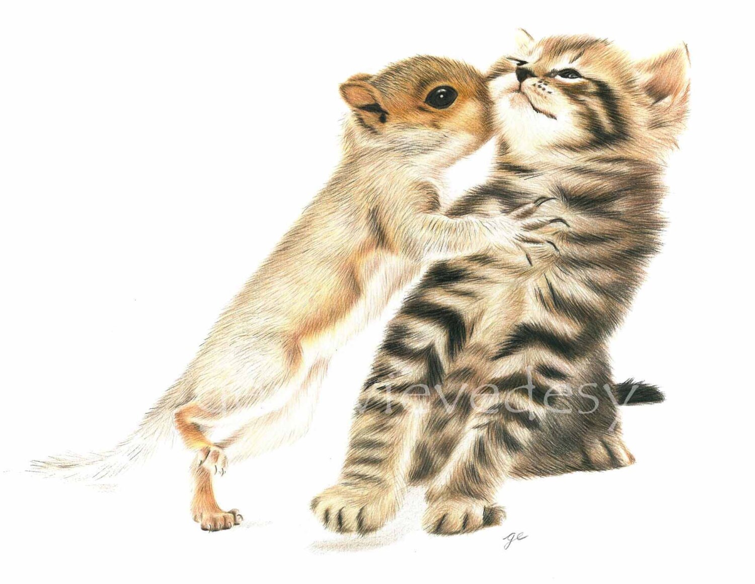 Original Drawing of a Squirrel Kissing a Kitten Squirrel and Kitten ...