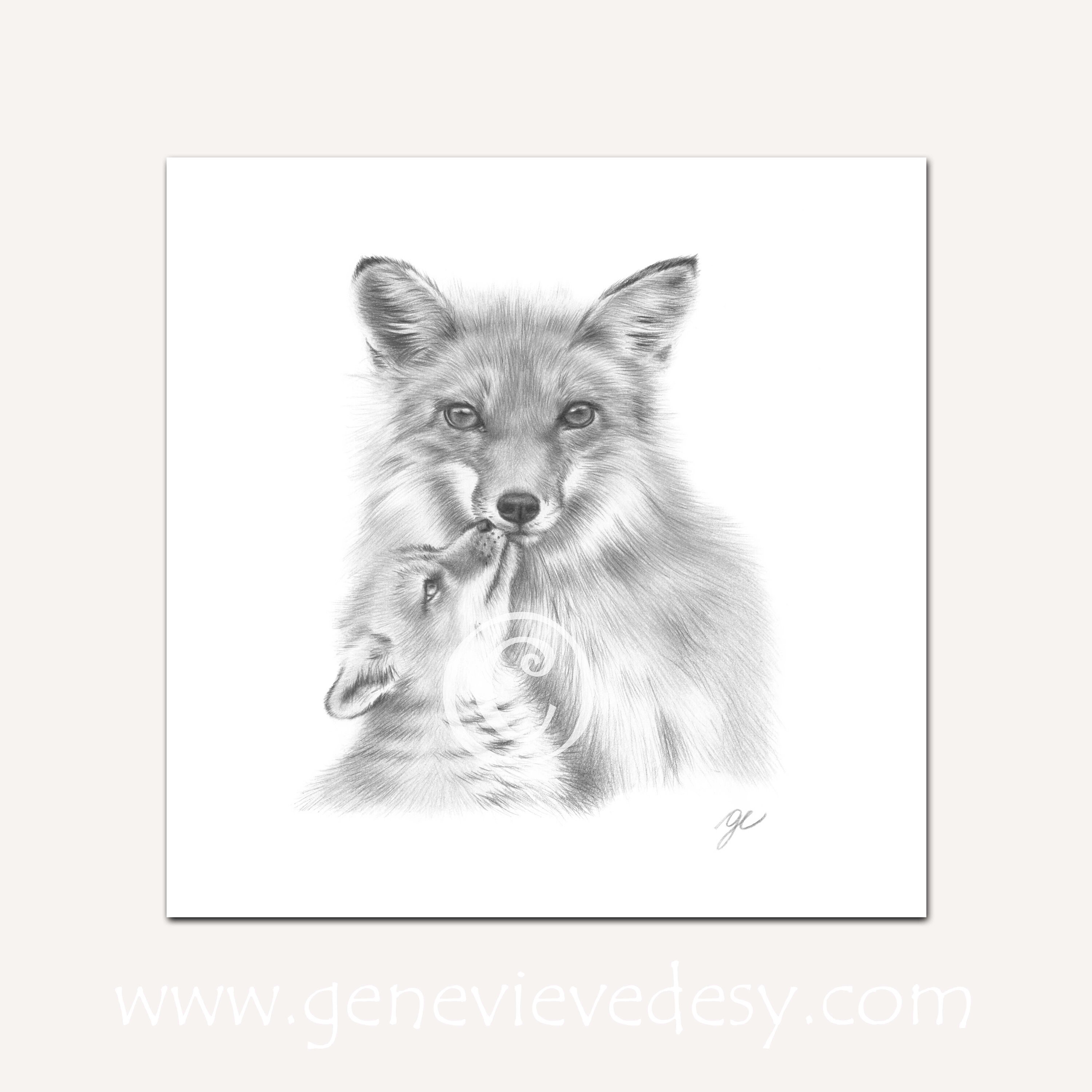 Digital Download of a Fox Drawing - Printable Fox Art Print - Square ...