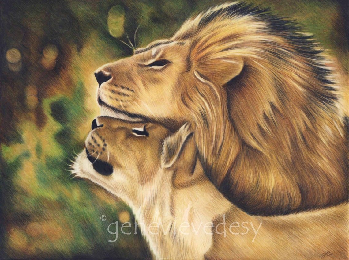 Original Drawing of Lions Male Lion and Cub Drawing Lion Drawing Made ...