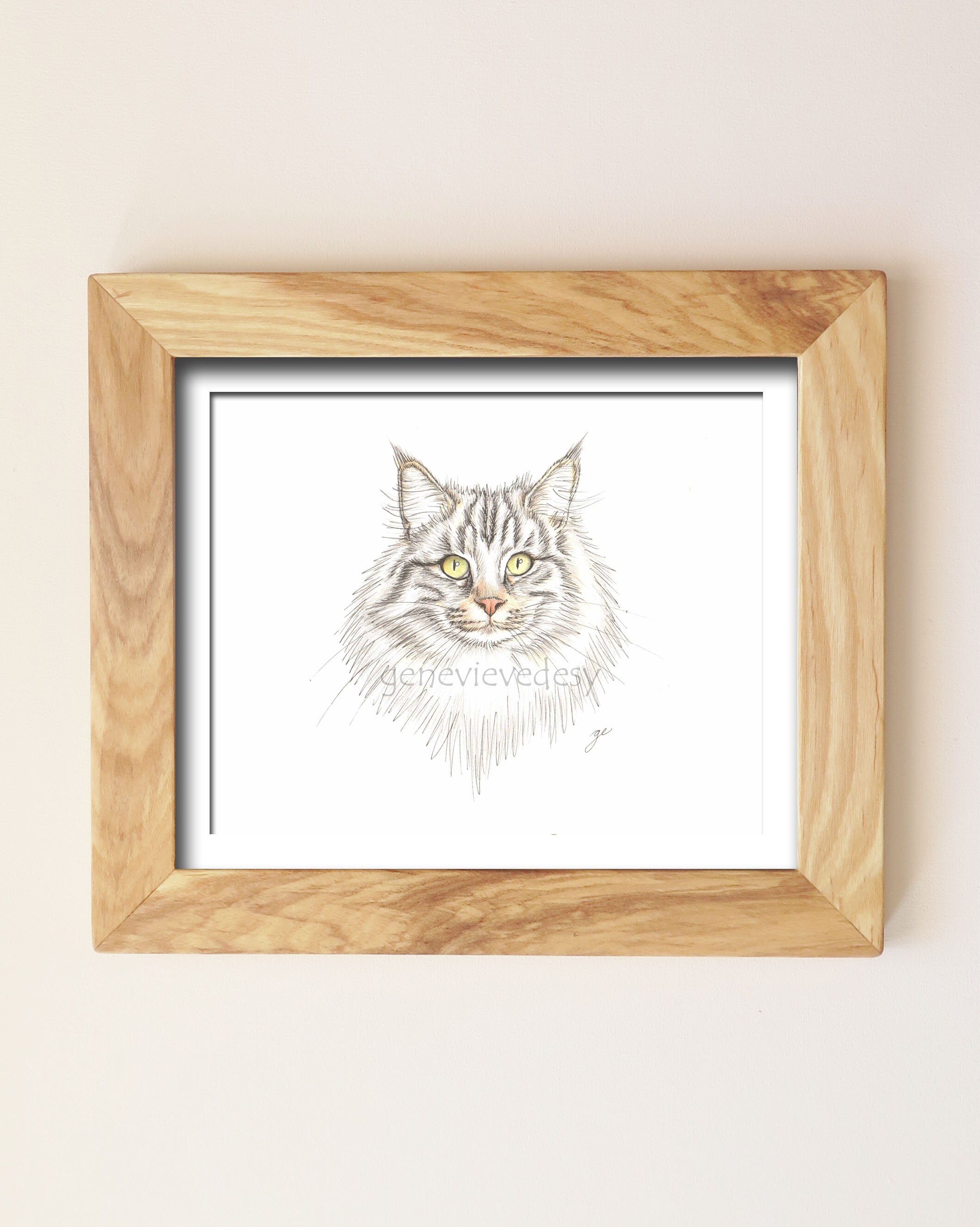 Norwegian Forest Cat Ink Drawing Original Cat Drawing Made - Etsy Canada