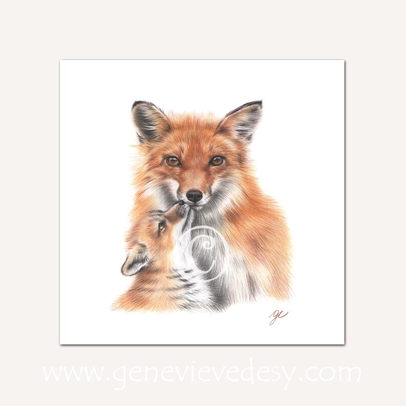 Digital Download of a Fox Drawing - Printable Fox Art Print - Square ...