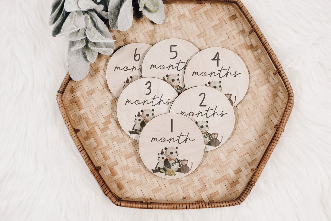 Panda & Friends Baby Milestone Markers Month to Month Engraved Wood ...