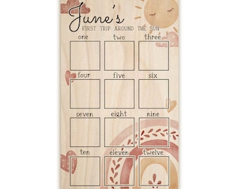 One Year of Baby, First Year Board, 1st Birthday Picture Board, First ...