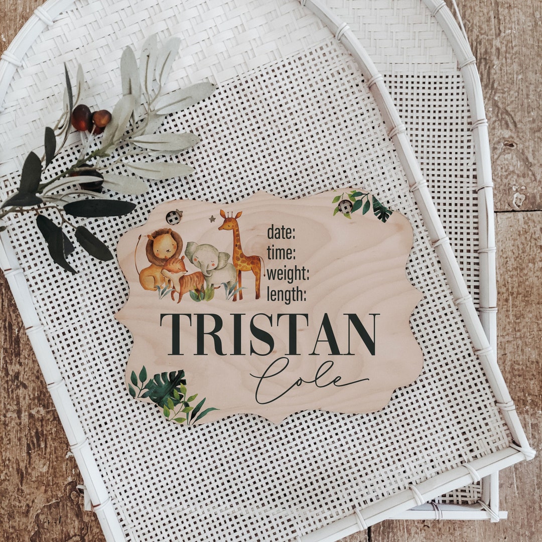 Hospital Door Hanger Safari Nursery Name Sign Birth Stats Sign Girl ...