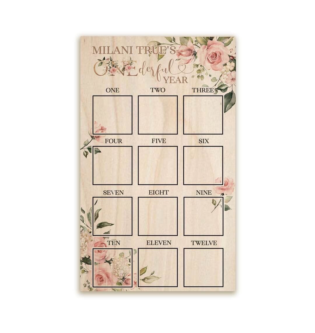 One Year of Baby, First Year Board, 1st Birthday Picture Board, First ...