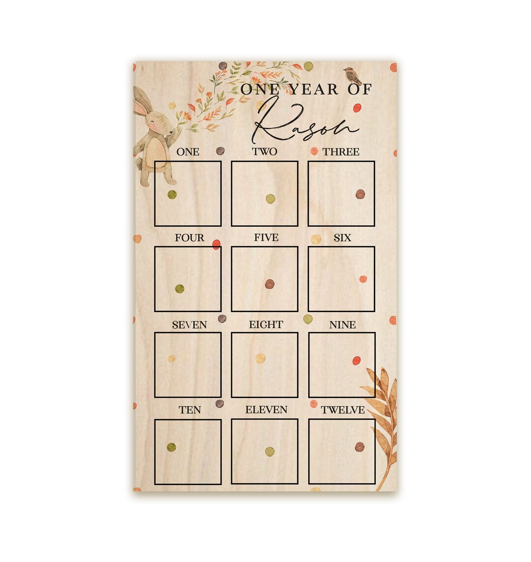 One Year of Baby, First Year Board, 1st Birthday Picture Board, First ...