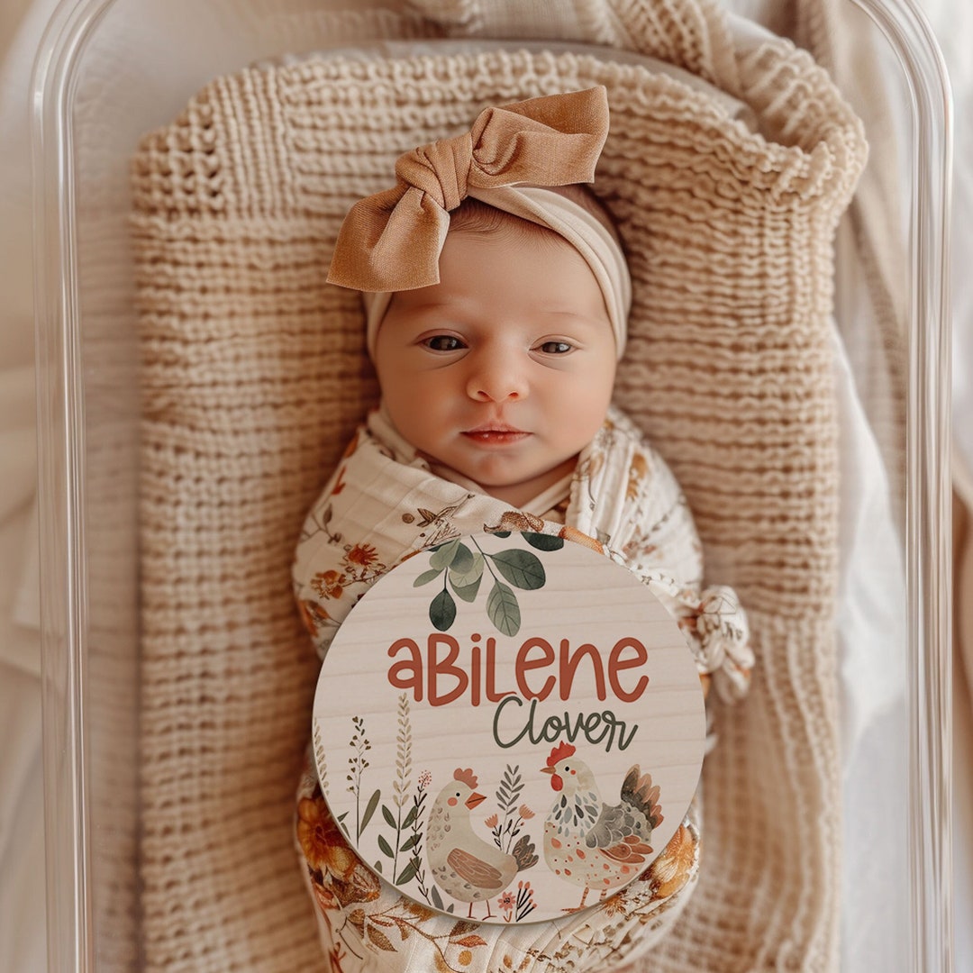 Baby Cottage Core Hospital Name Sign, Arrival Baby Sign, Wooden Baby ...