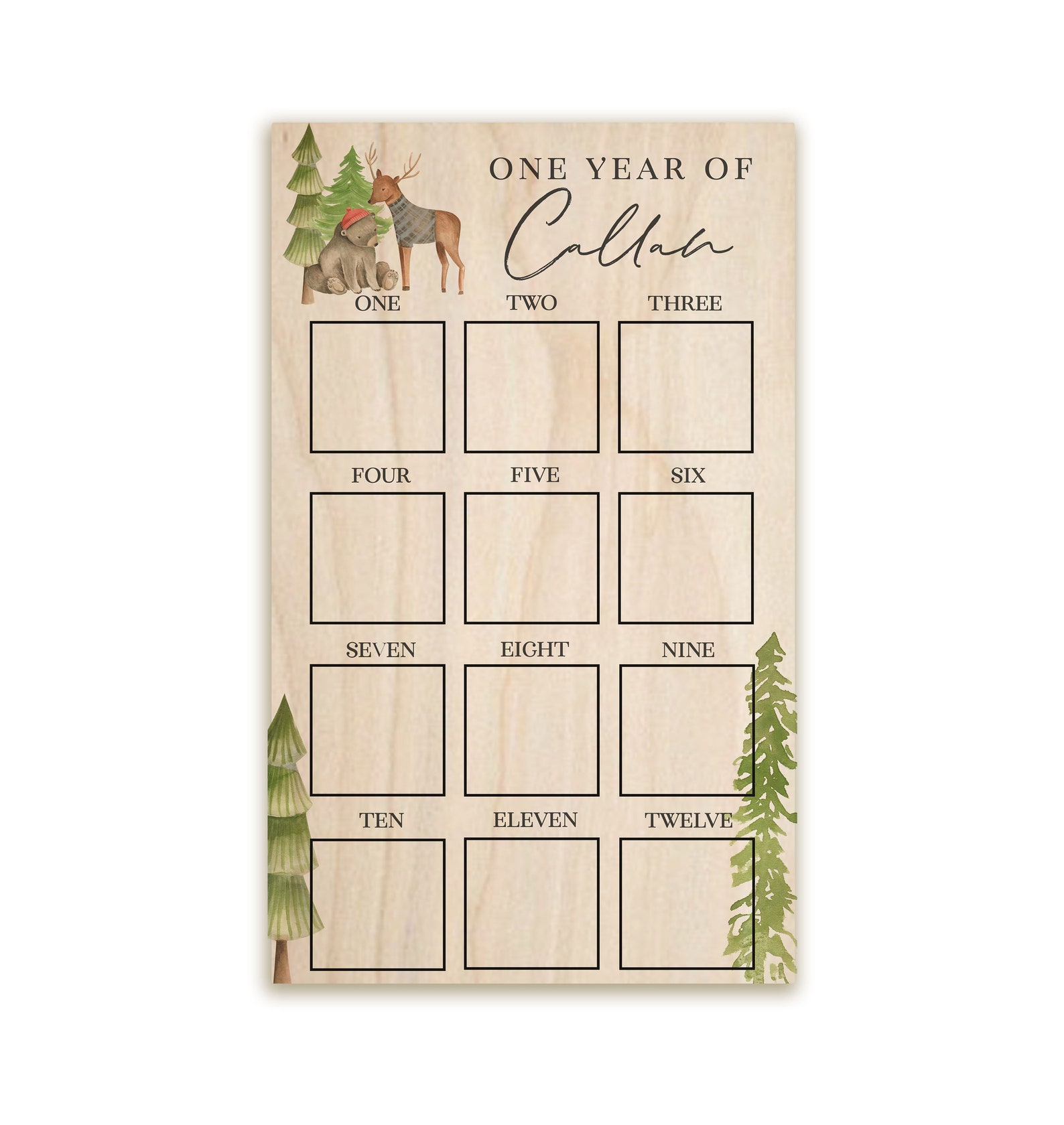 One Year of Baby First Year Board 1st Birthday Picture - Etsy